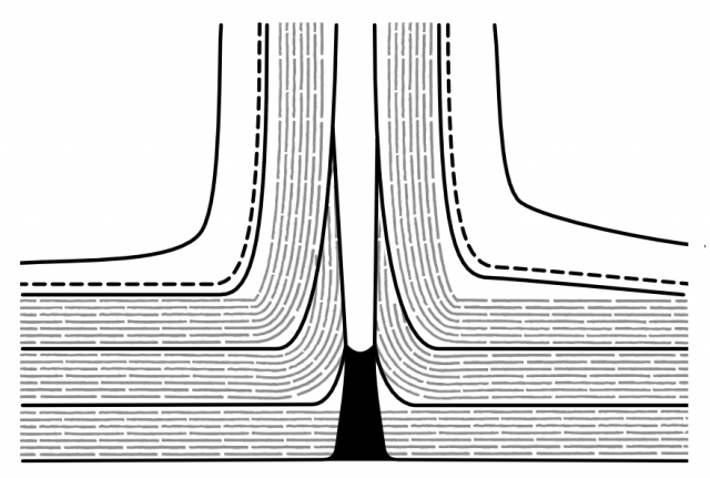 Anatomy of a Root: Sucker Shoot Development