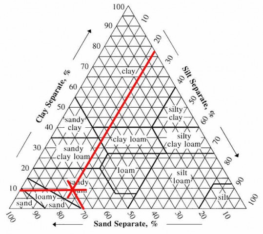 Soil Experiments You Can Do At Home
